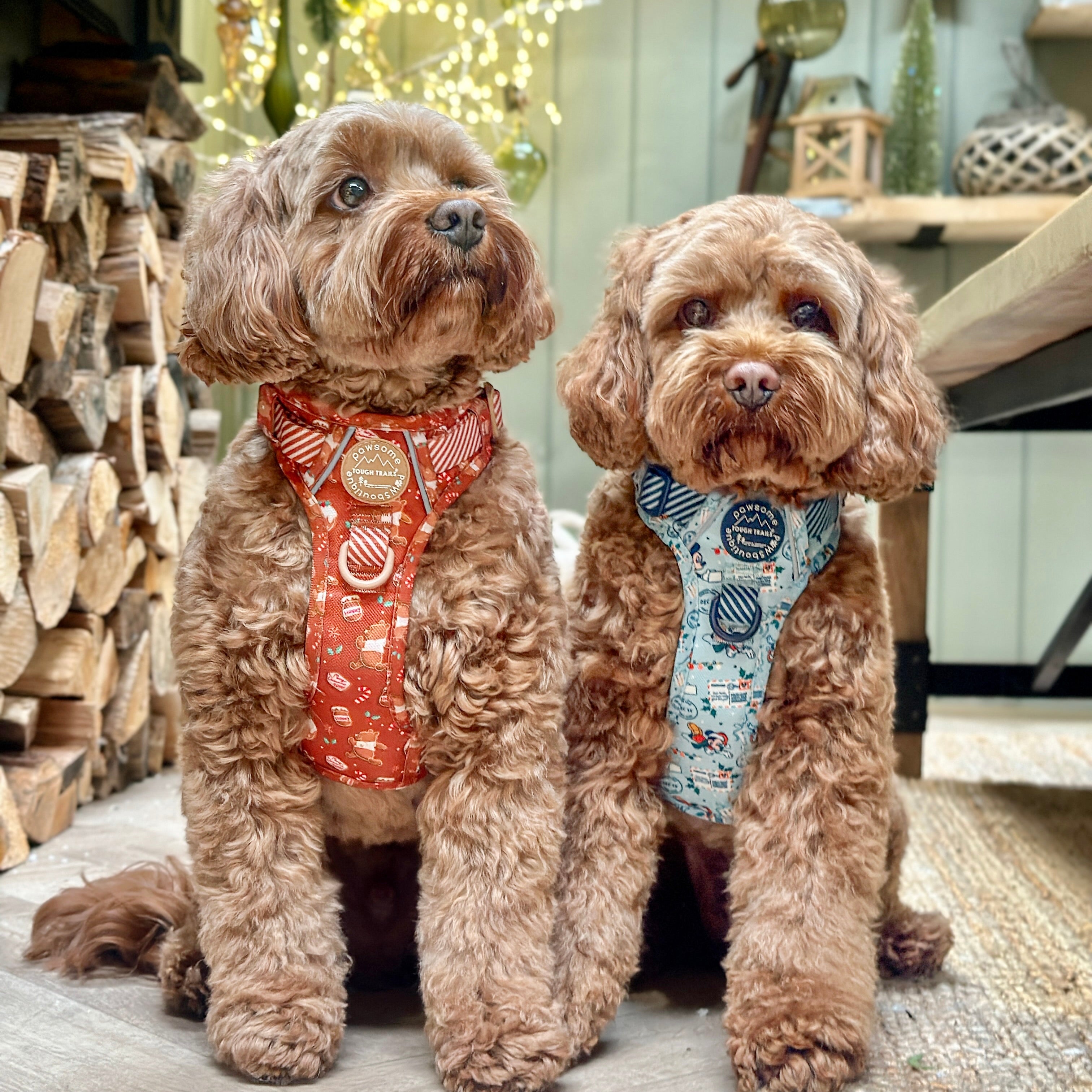 Collections – Pawsome Paws Boutique