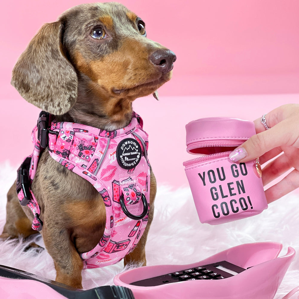 Collections – Pawsome Paws Boutique