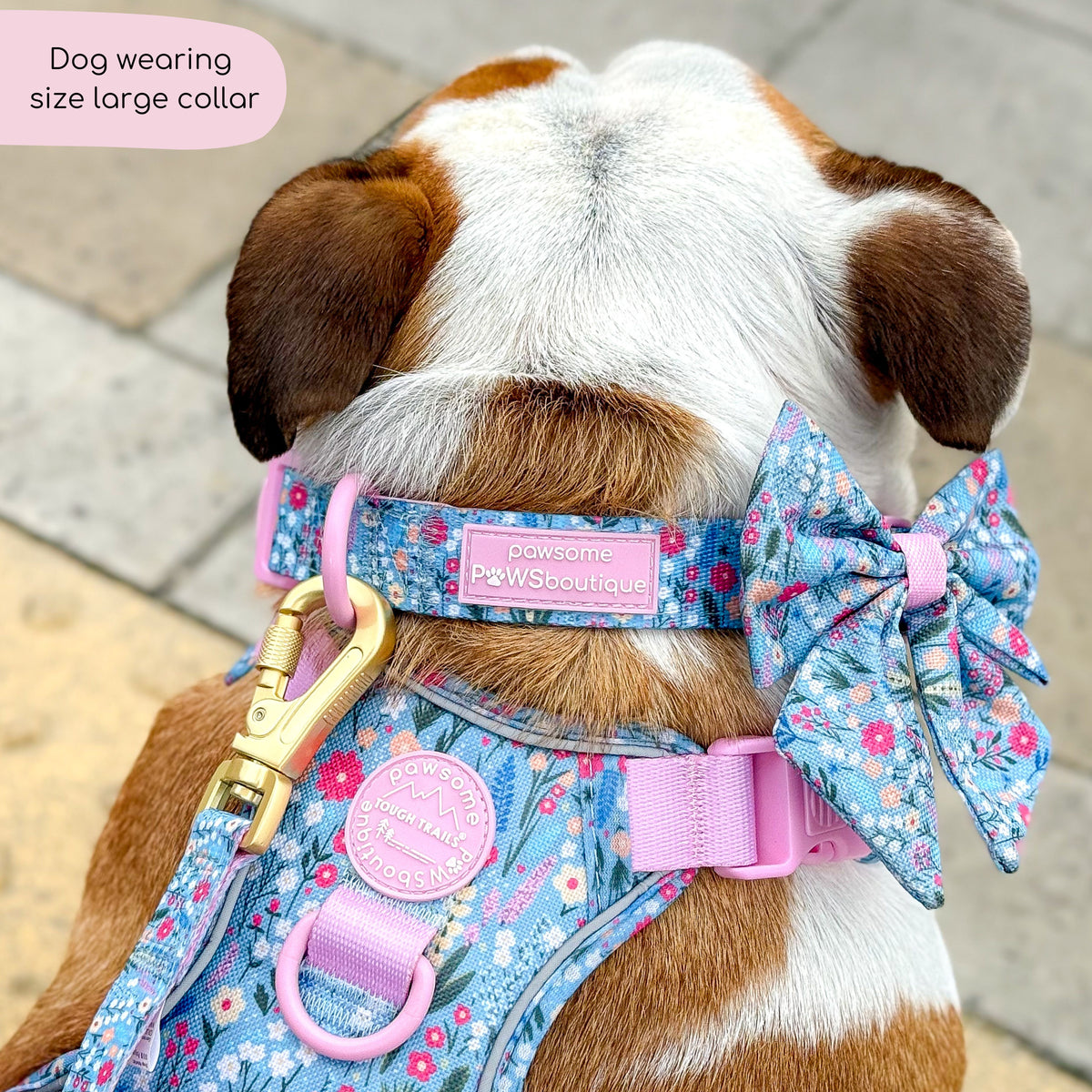 Collar - Whimsical Wildflowers – Pawsome Paws Boutique