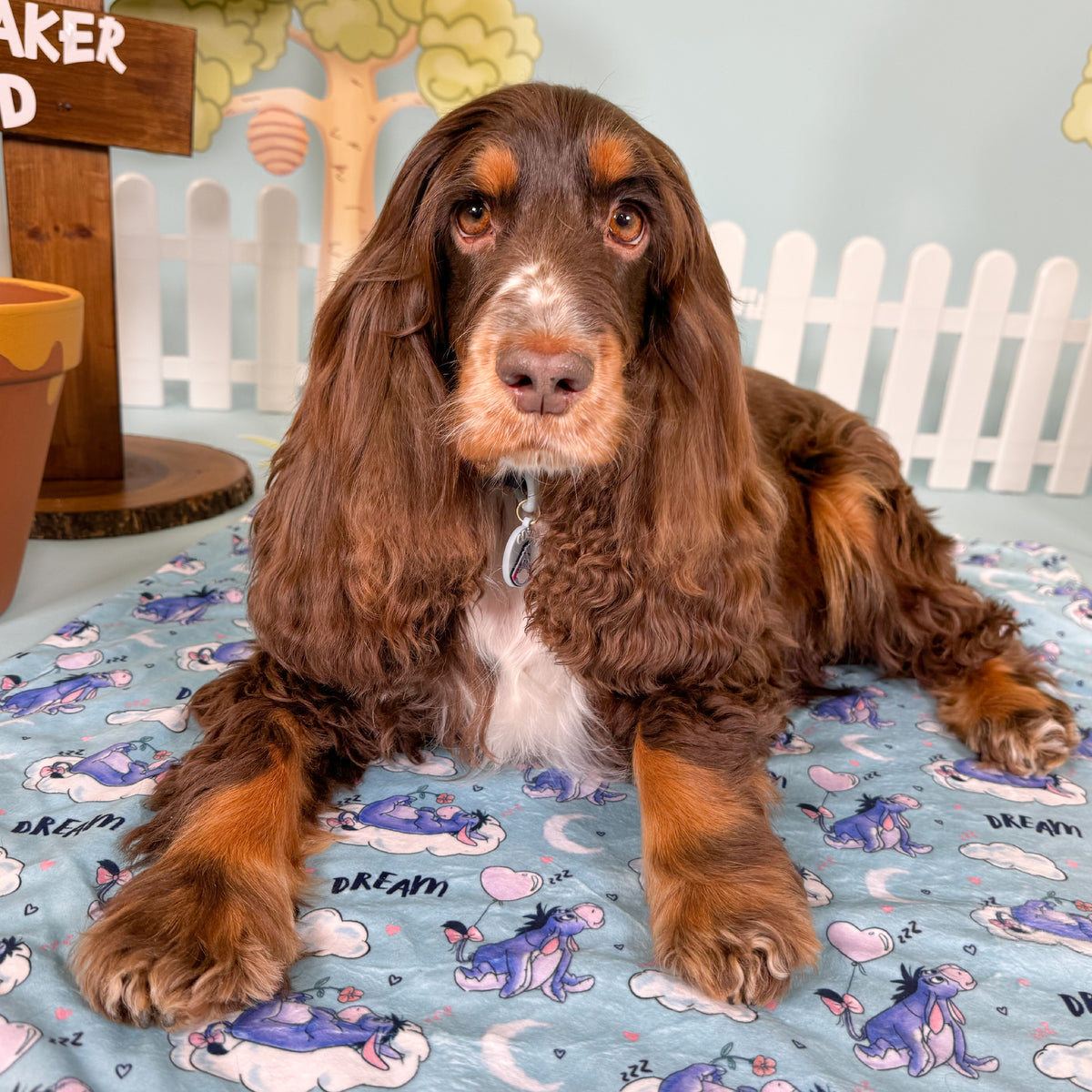 Disney© Dog Blanket - Eeyore – Pawsome Paws Boutique