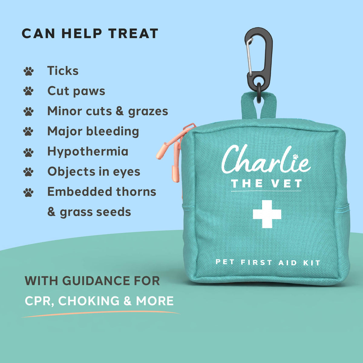 Pet First Aid Kit – Pawsome Paws Boutique