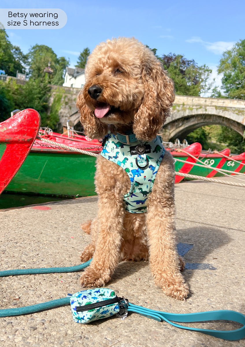 Poo Bag Holder - Dinky Dino – Pawsome Paws Boutique